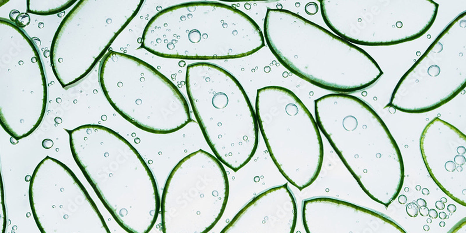 Small Changes. Big Growth. Because Every Strand Deserves To Thrive ...